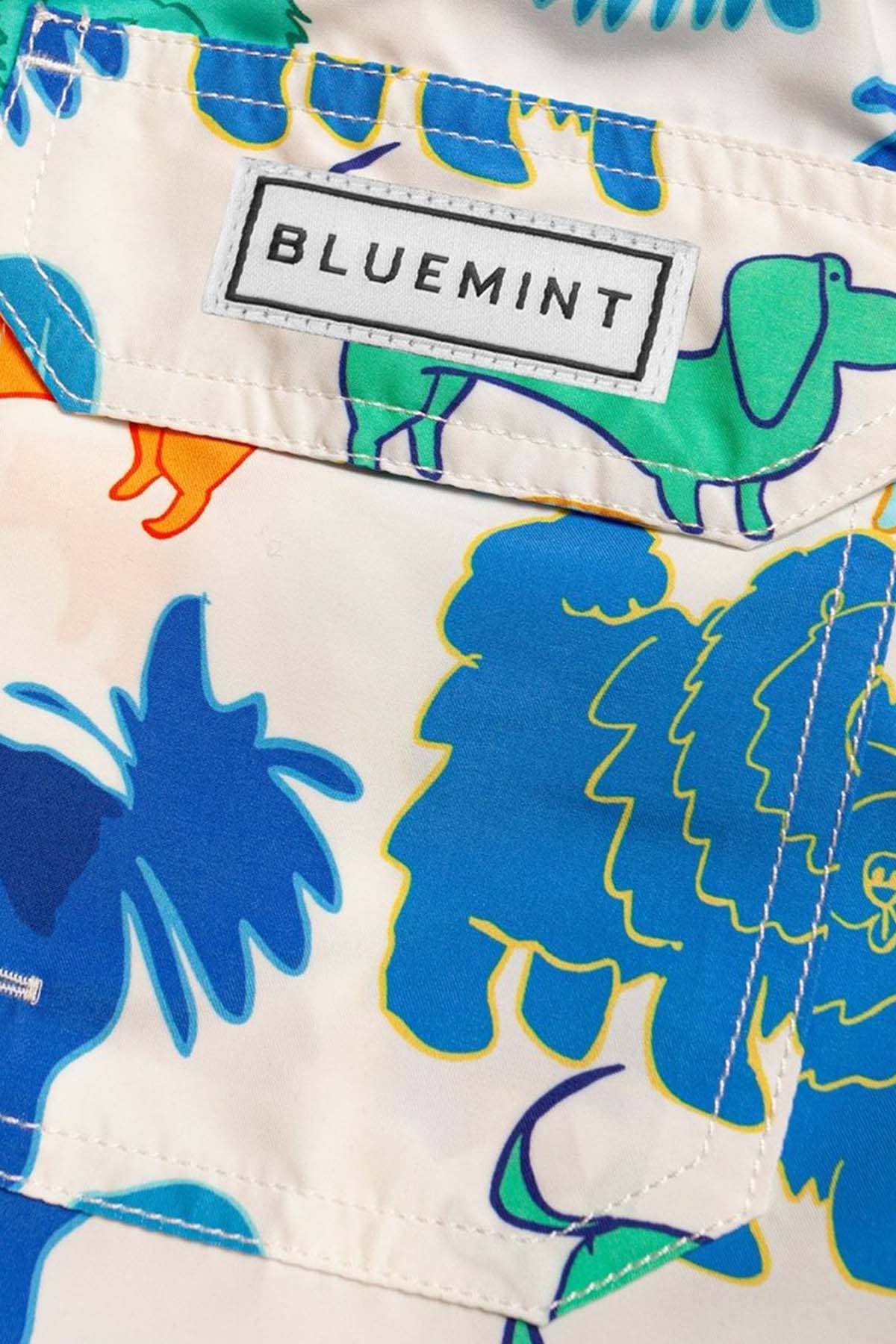 Bluemint Kids 2-4 Yaş Erkek Çocuk Arthus Chow Chow Şort Mayo ...